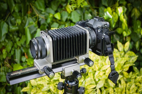 My Macro Gear | Nigel Burley Photography