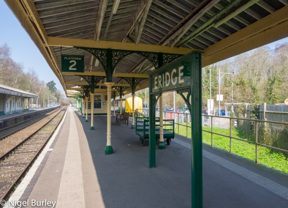 Eridge Railway Station | Nigel Burley Photography